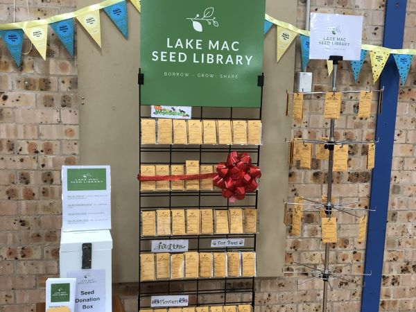 Edgeworth - The Groundswell Collective