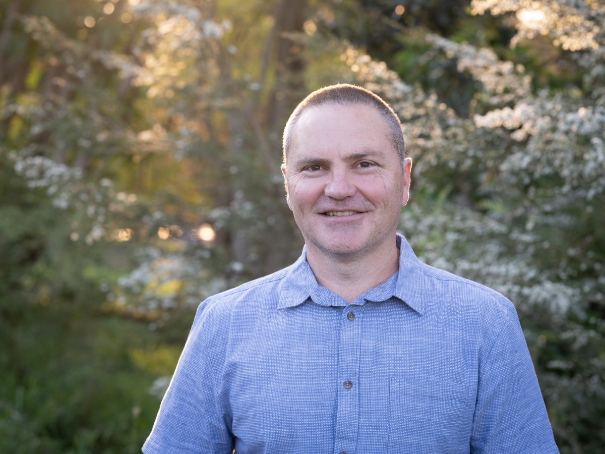 About Us - The Groundswell Collective