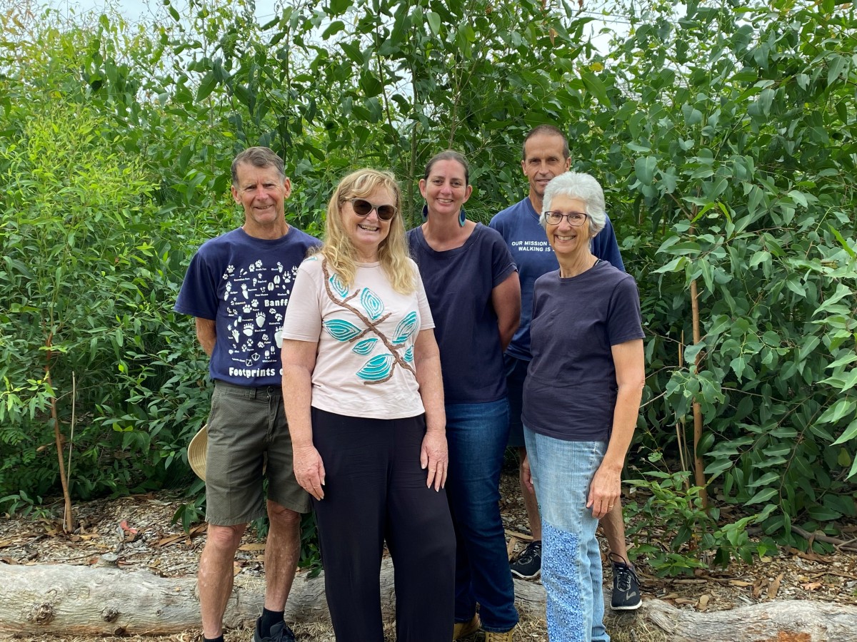 Lake Mac Tiny Forest - The Groundswell Collective